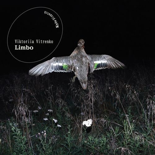 Sven-Ingo Koch, Simple Songs & Songs Of Pining: IV Vogelgrabsong - Song ...