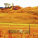 Country Life - Song Download from Country Life @ JioSaavn