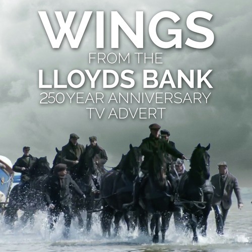 Wings From The Lloyds Bank 250 Year Anniversary T V Advert Songs 