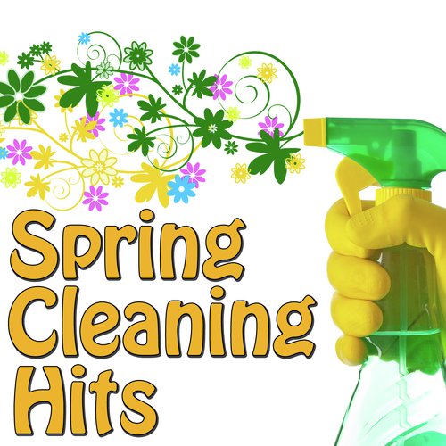 Spring Cleaning Hits, Vol.1 Songs Download - Free Online Songs @ JioSaavn