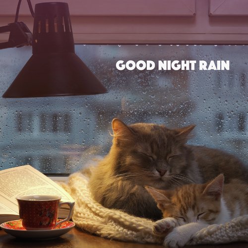 Good Night Rain Goodnight Rain Goodnight Love Goodnight