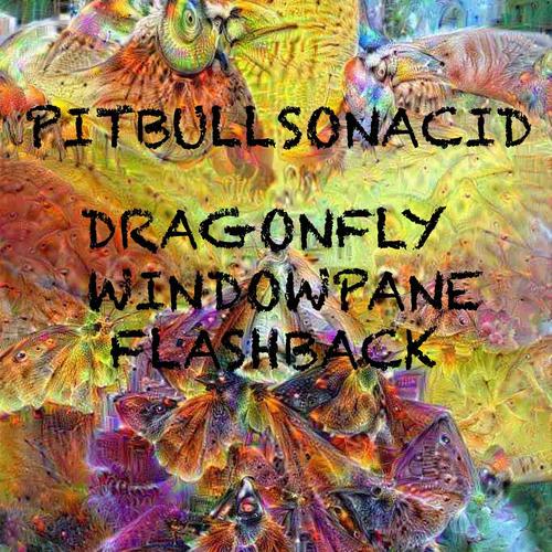 Dragonfly Windowpane Flashback Songs Download - Free Online Songs ...