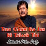 Tere Gham Ko Jan Ki Talash Thi - Song Download from Tere Gham Ko Jan Ki ...