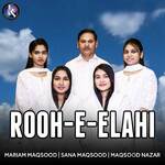 Rooh E Elahi - Song Download from Rooh E Elahi @ JioSaavn