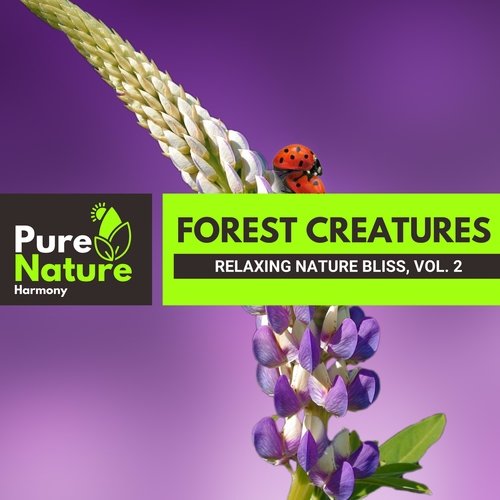 Wapiti Elk - Song Download from Forest Creatures - Relaxing Nature ...
