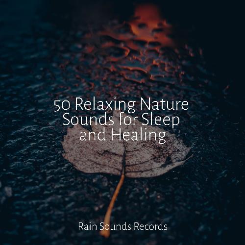 50 Relaxing Nature Sounds For Sleep And Healing Songs Download - Free ...