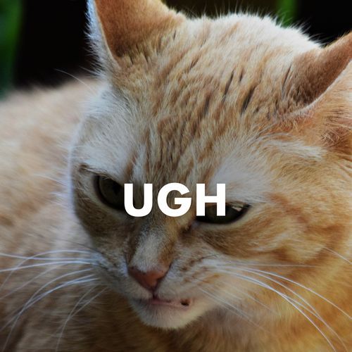 Ugh Life Meme Overused Dead Meme | Fandom