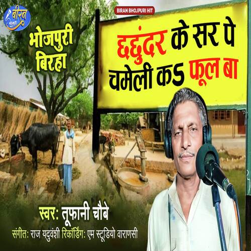 Chachundar Ke Sar Pe Chameli Ka Phool Ba Songs Download - Free Online ...