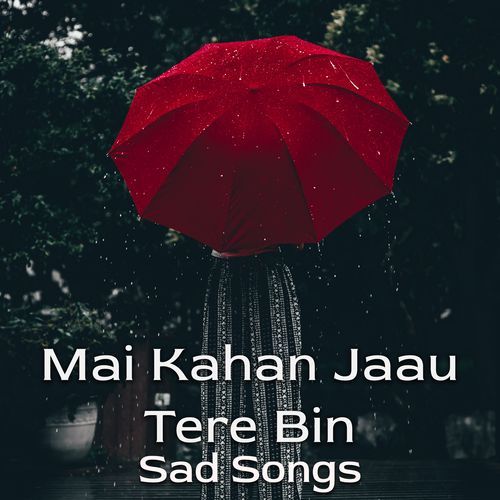 Bairi Piya (From "Devdas") Lyrics - Mai Kahan Jaau Tere Bin - Sad Songs ...