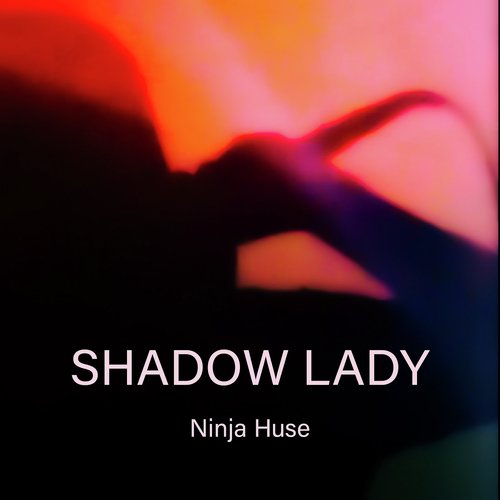Shadow Lady Lyrics - Ninja Huse - Only on JioSaavn