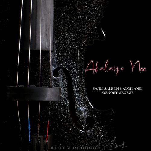 Akalayo Nee (feat. Alok Anil, Sajili Saleem) Songs Download - Free ...