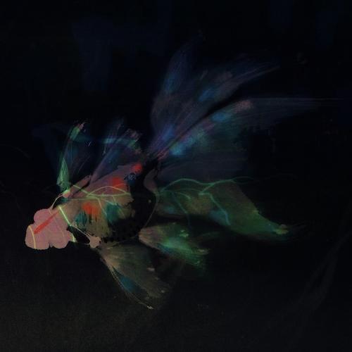 Chīsana Akage - Song Download from Xanthorchroid @ JioSaavn