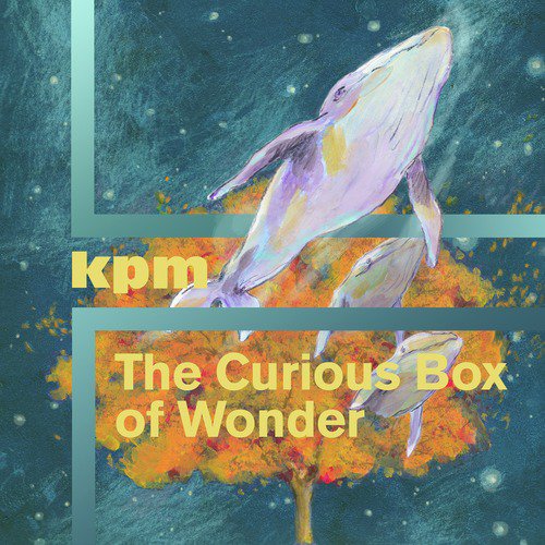 Fish Flourish - Song Download from The Curious Box of Wonder @ JioSaavn