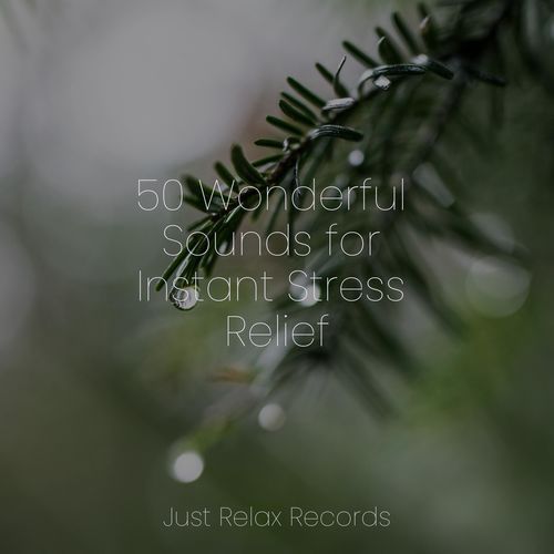 Mystic Parchment Unfolded - Song Download from 50 Wonderful Sounds for ...