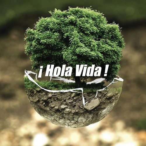 Viver - Song Download from ¡ Hola Vida ! @ JioSaavn