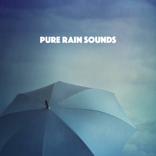 เสียงฝนตกเพื่อการผ่อนคลาย - Song Download from Pure Rain Sounds @ JioSaavn