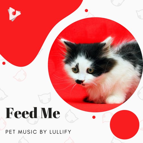 A Decade Under The Influence Of Catnip - Song Download from Feed Me ...