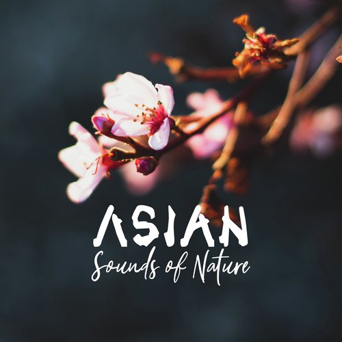 Sounds of Nature Kingdom, Asian Traditional Music, Inspiring Tranquil ...