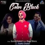 Color Black - Song Download from Color Black @ JioSaavn