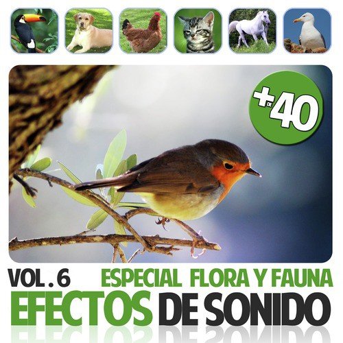 Sonidos Y Rugidos De Felinos - Song Download from Animales. Efectos Especiales De Sonido. Audio ...