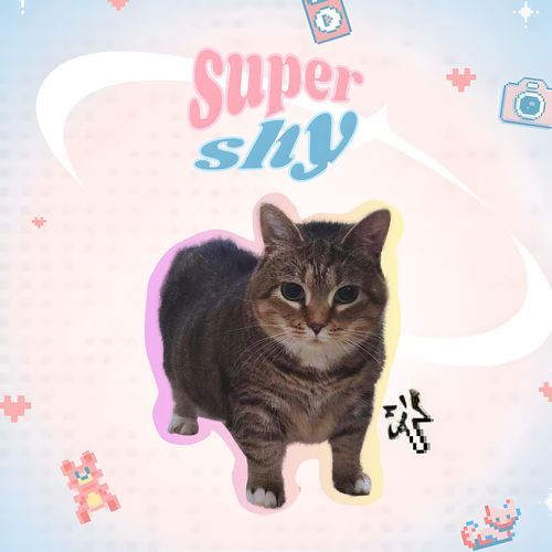 Super Shy Oiia Songs Download - Free Online Songs @ JioSaavn