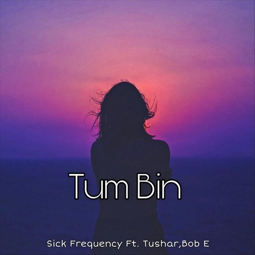 Tum Bin (feat. Tushar & Bob E) - Song Download from Tum Bin (feat ...