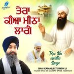 Mera Prabh Hoya Aap Dayala - Song Download from Tera Kiya Meetha Laage ...