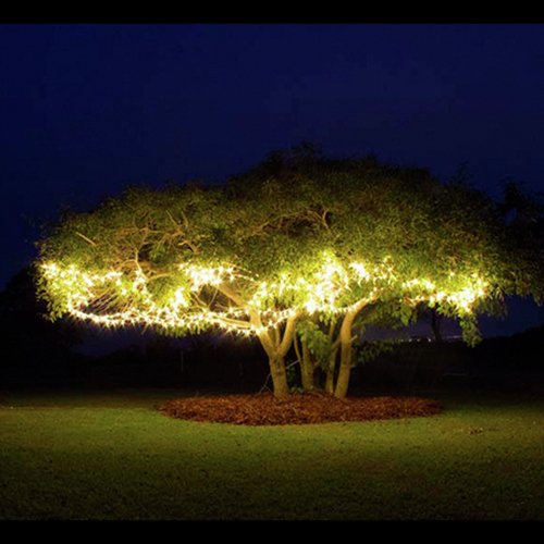 Cvbvc - Song Download from Selvanth Test @ JioSaavn