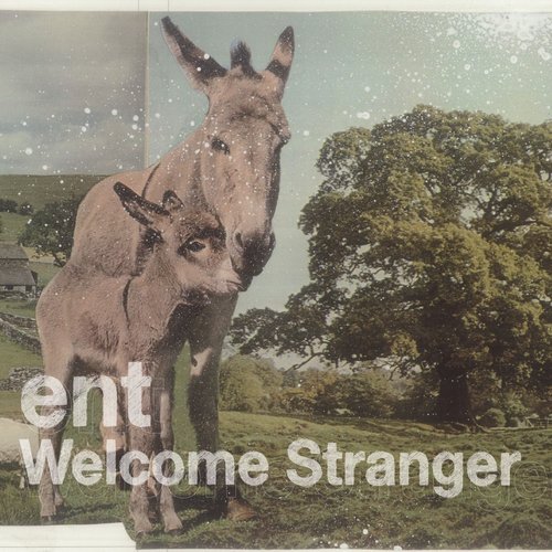 Farewell Dear Stranger Lyrics - ENT - Only on JioSaavn