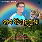 BAGHA NISA HALANA - Song Download from BAGHA NISA HALANA @ JioSaavn