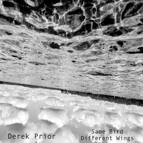 Same Bird Different Wings - Song Download from Same Bird Different ...