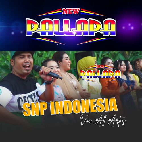 Snp Palapa Logo Nota De Prensa Aprueban La Primera... Sistema De