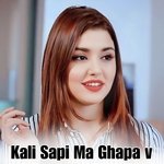 Kali Sapi Ma Ghapa V - Song Download from Kali Sapi Ma Ghapa v @ JioSaavn