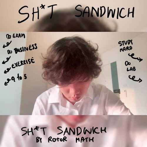 Shit Sandwich (Slowed & Reverb) Lyrics - Rotor Math - Only on JioSaavn
