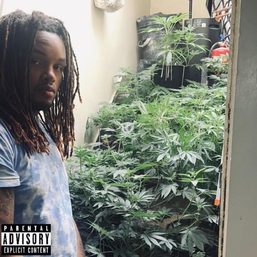 Elon Musk - Song Download from Best Rap Album @ JioSaavn