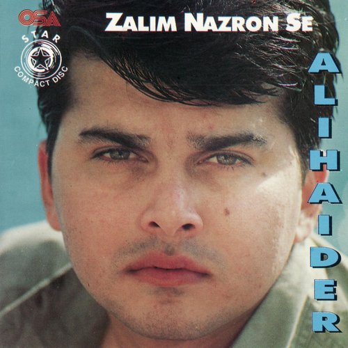 Zalim Nazron Se Lyrics - Ali Haider - Only on JioSaavn