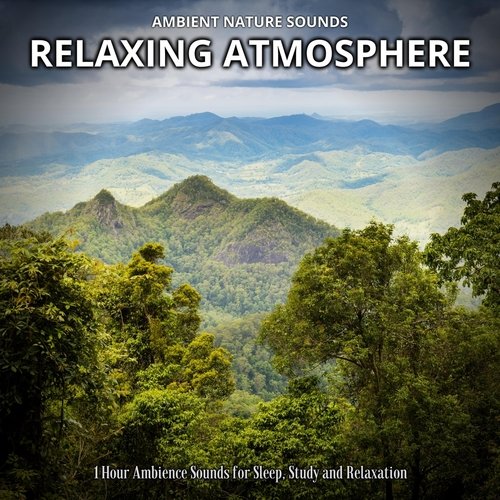 Nature's Symphony - Song Download from Ambient Nature Sounds: Relaxing ...