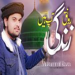 Ronaq E Zindagi Aap Hain - Song Download from Ronaq E Zindagi Aap Hain ...