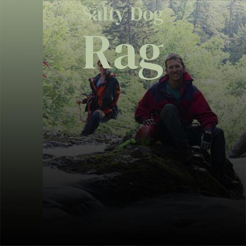 Lord Rockingham's XI - Song Download from Salty Dog Rag @ JioSaavn