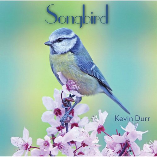 Home - Song Download from Songbird @ JioSaavn