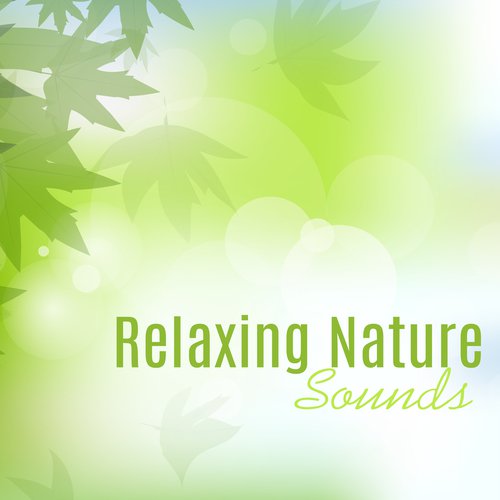 Green Garden - Song Download from Relaxing Nature Sounds – Nature Music ...