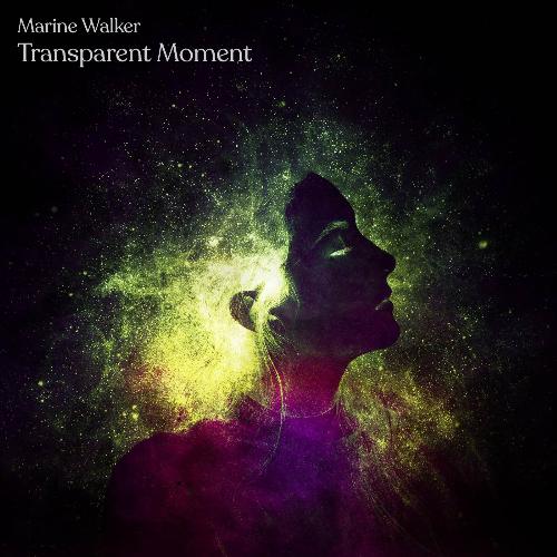 Transparent Moment Songs Download - Free Online Songs @ JioSaavn