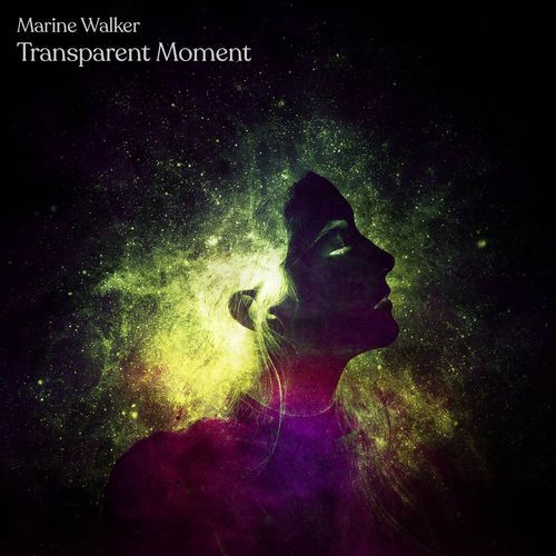 Transparent Moment Songs Download - Free Online Songs @ JioSaavn