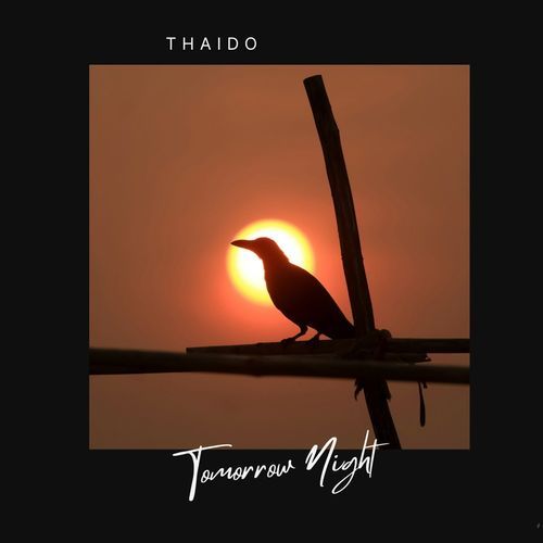 This Love We Belong Forever - Song Download from Tomorrow Night @ JioSaavn