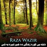 Raza Raza Qabar Ta Rasha - Song Download from Dalta Be Kora Zindagi Da ...