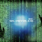 SALINEWIN.exe - Song Download from SALINEWIN.exe @ JioSaavn