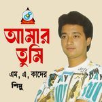 Tumi Asbe Bole - Song Download from Amar Tumi @ JioSaavn