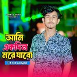Ami Akdin More Jabo - Song Download from Ami Akdin More Jabo @ JioSaavn