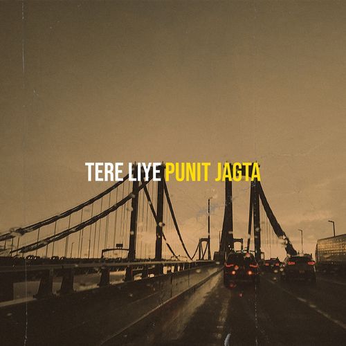 Tere Liye - Song Download from Tere Liye @ JioSaavn