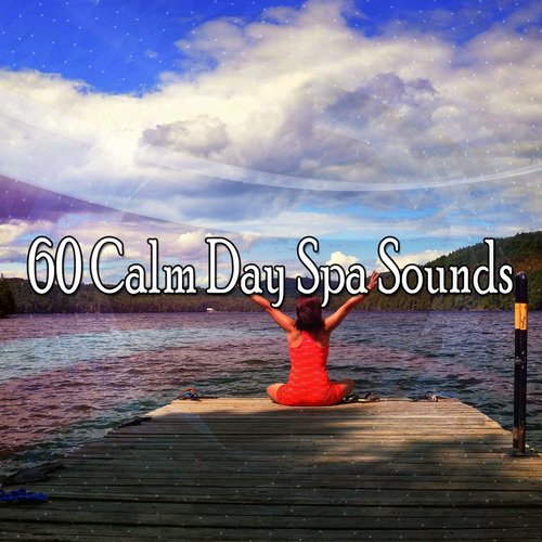 Tranquil Adventures - Song Download from 60 Calm Day Spa Sounds @ JioSaavn